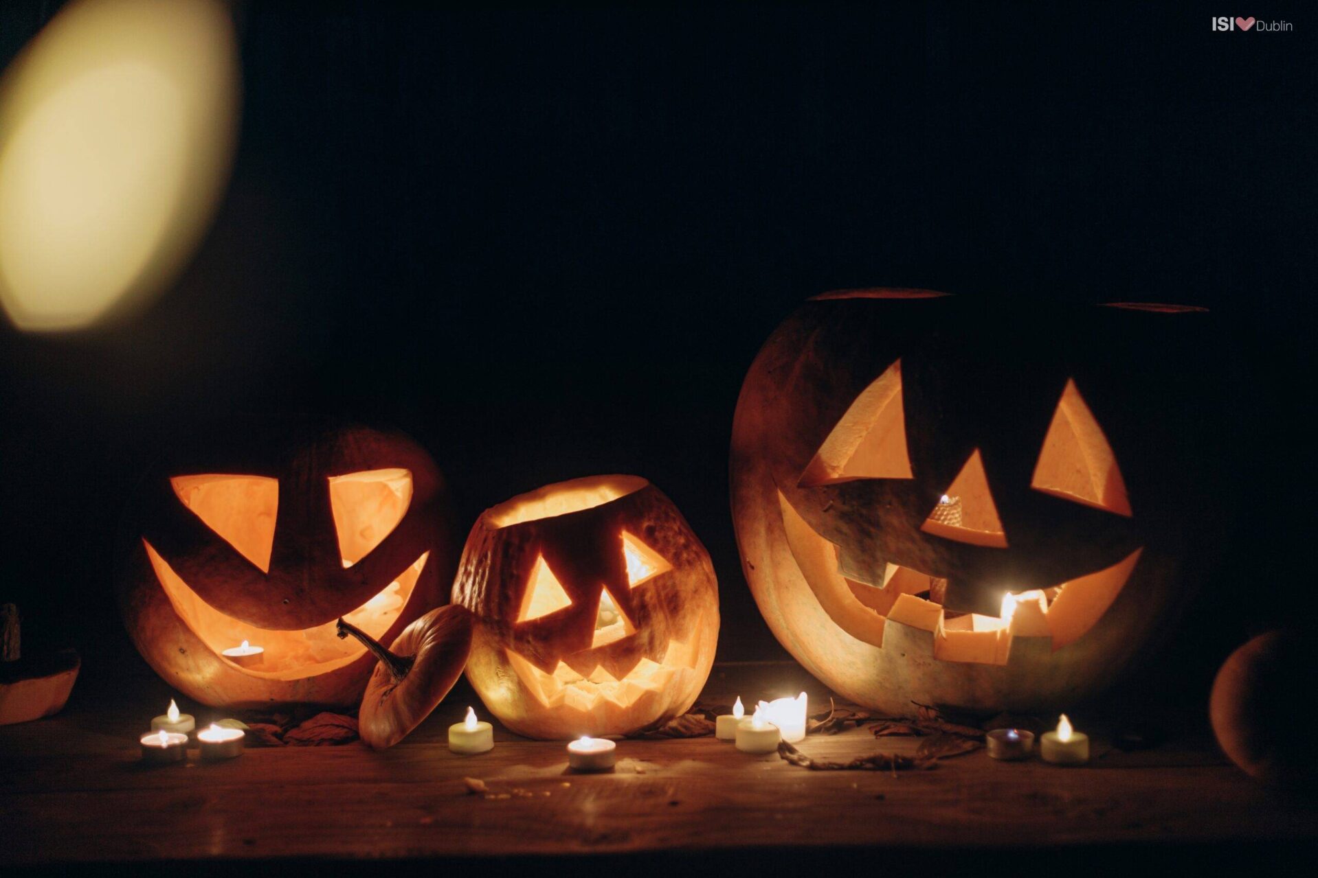ISI Dublin │ Halloween w Irlandii